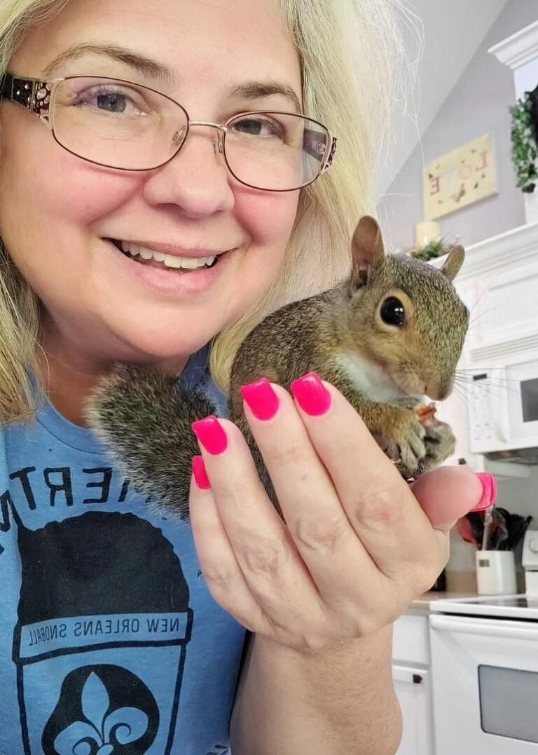 Squirrel Adoption: A Guide to Caring for Squirrels - adoptasquirrelnow.com